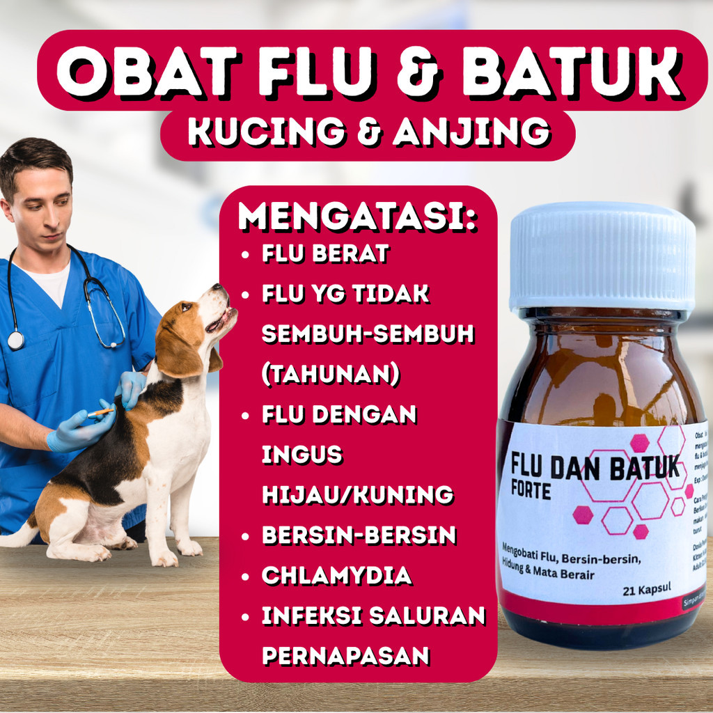 Jual FLU DAN BATUK FORTE KAPSUL OBAT FLU KUCING KITTEN ANJING ANAK ...