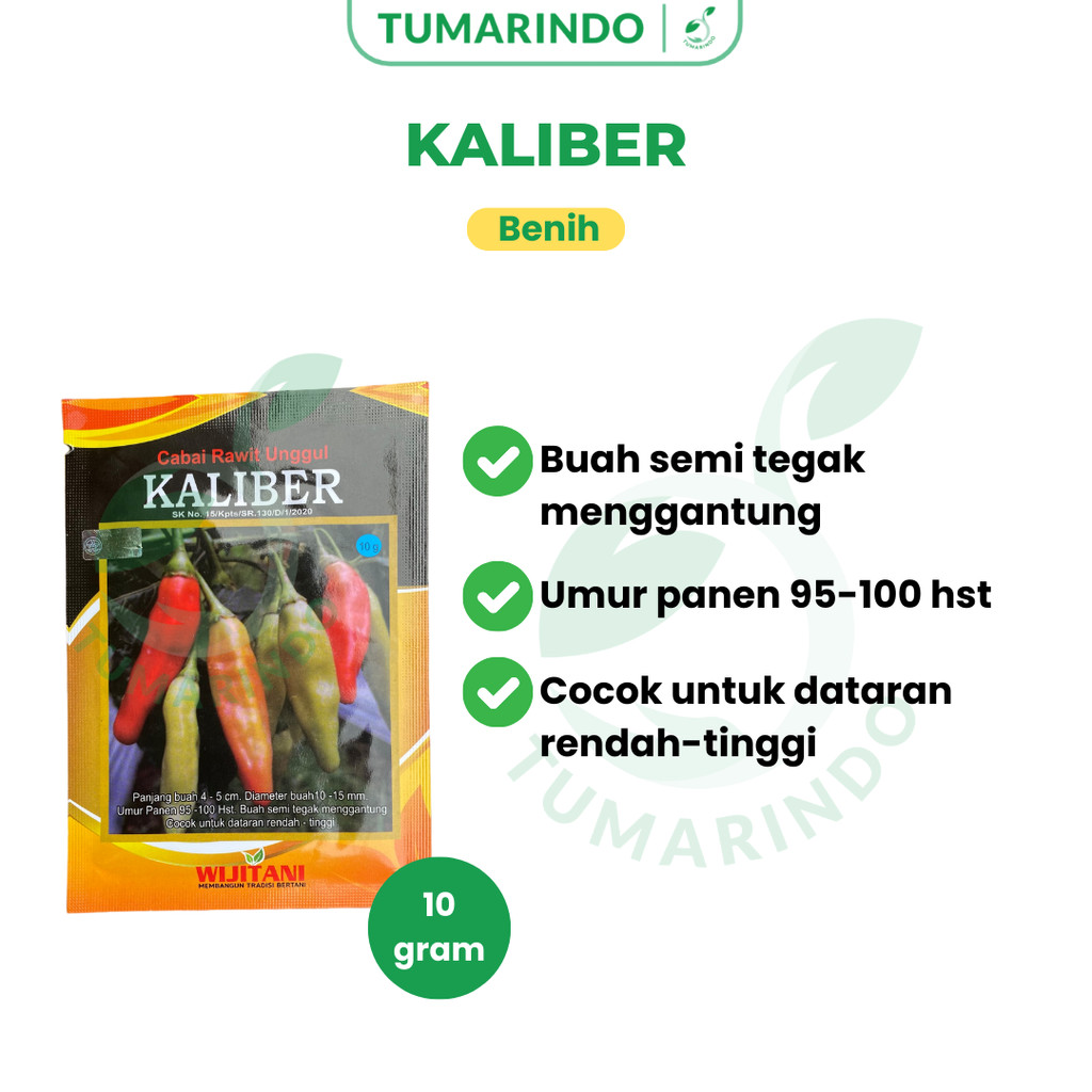Jual Benih Cabe Cabai Rawit Unggul KALIBER 10 gram Wijitani | Shopee ...