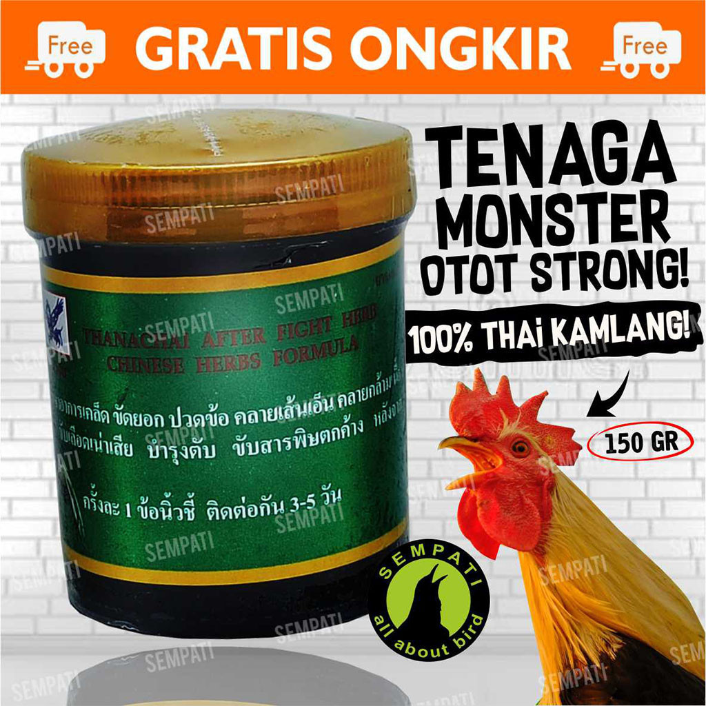 Jual SEMPATI Obat Luka Dalam Kamlang Basah Ayam Jago Tarung Bangkok Kamlang Basah Obat Luka ...
