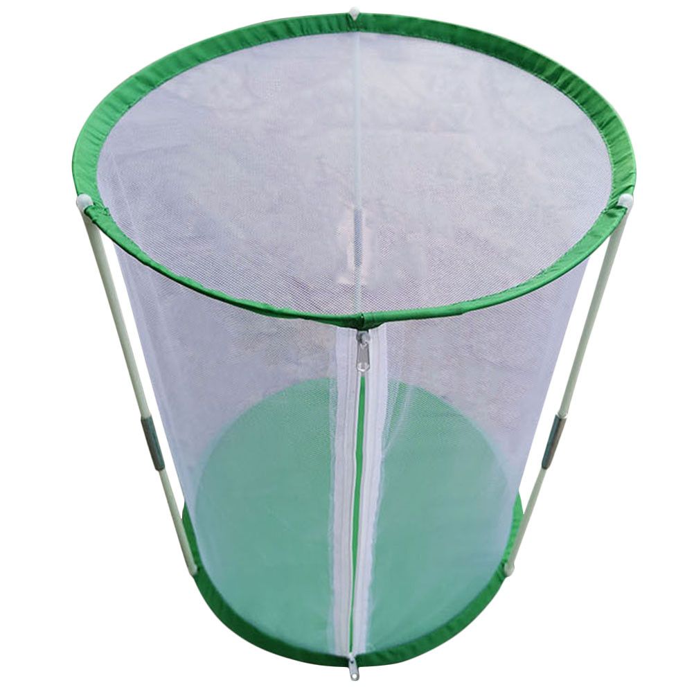 Jual Butterfly Mesh Enclosure Monarch Habitat Insect Cage Caterpillars ...