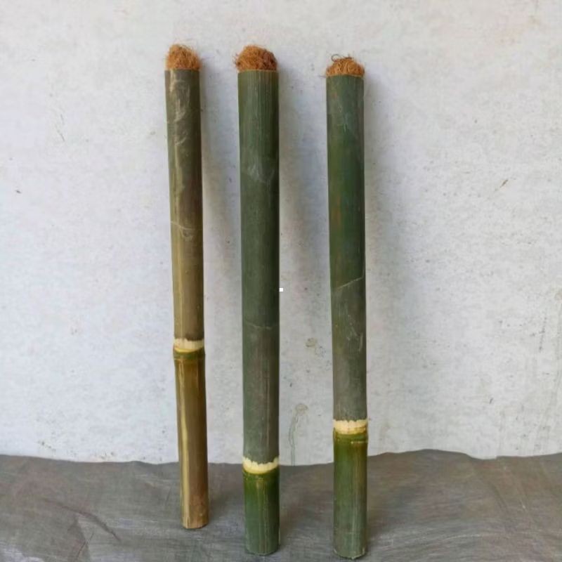 Jual Obor Bambu + Sumbu Siap Pakai Untuk Camping Pawai Obor Maupun ...