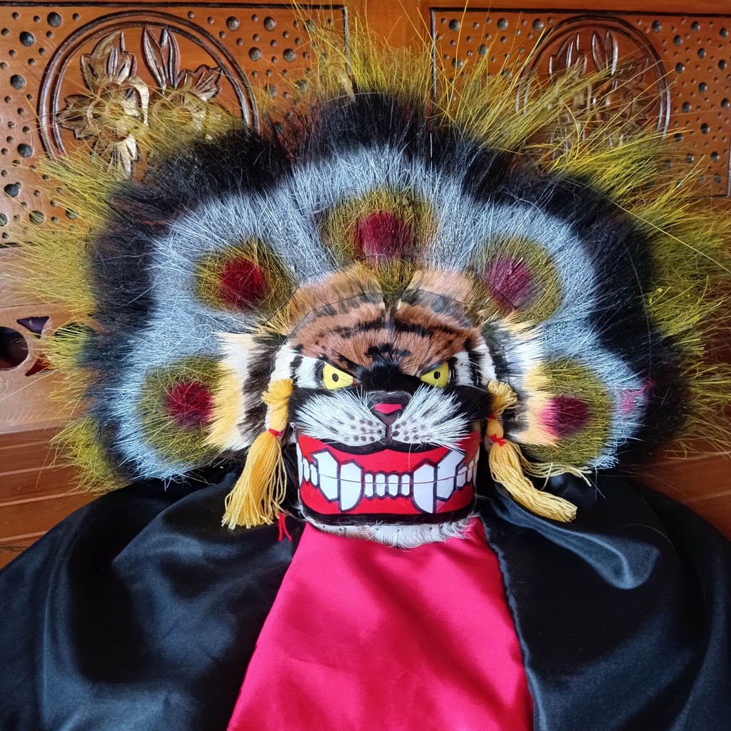 Jual Barongan anak (usia 2-6 tahun) | Shopee Indonesia
