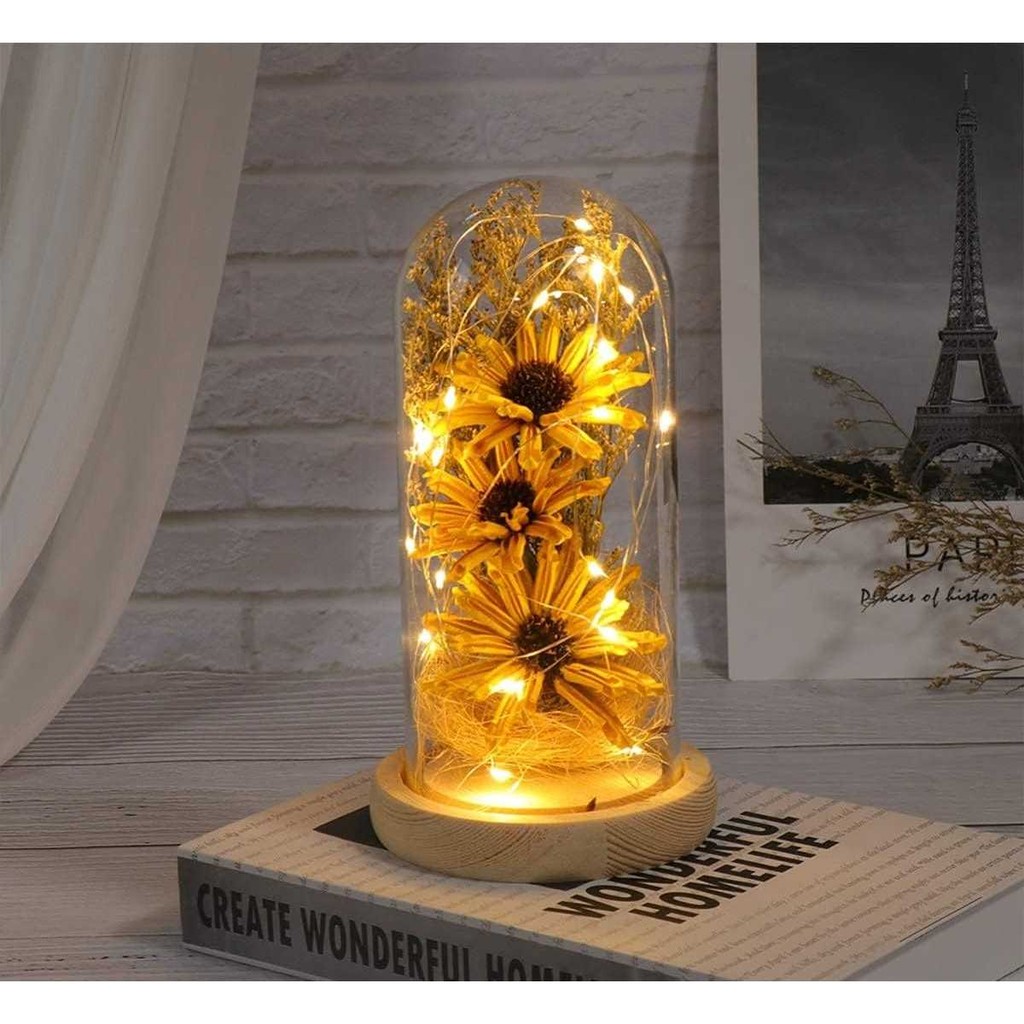 Jual Lampu LED Bunga Matahari Dekorasi Sunflower Glass Dome | Shopee ...