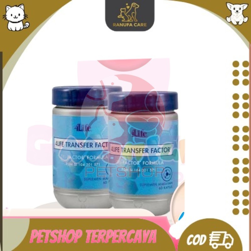 Jual Transfer Factor Tri 1 Kapsul|REPACK (OBAT, VITAMIN & SUPLEMENT ...