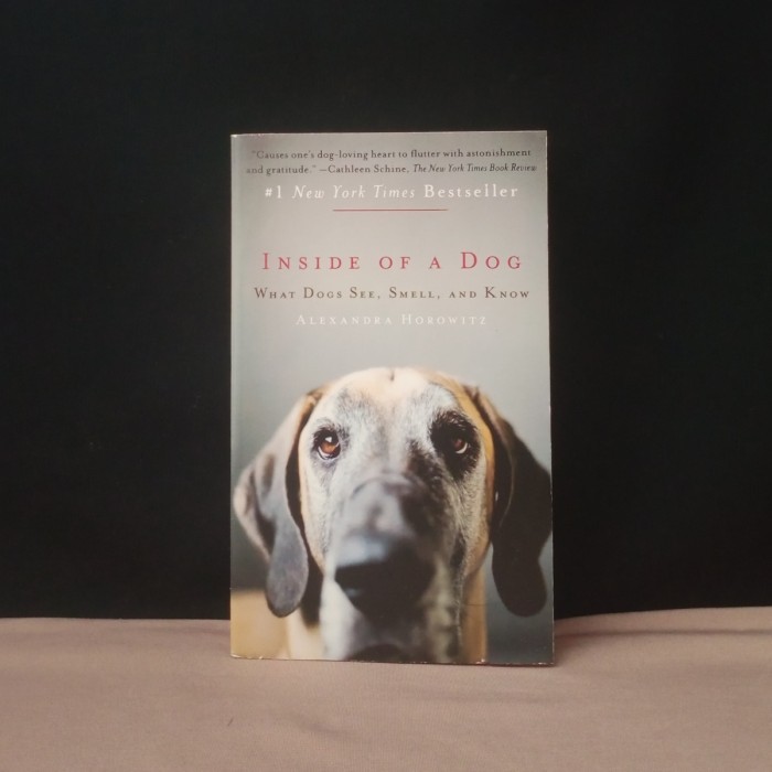Jual INSIDE OF A DOG - ALEXANDRA HOROWITZ | Shopee Indonesia