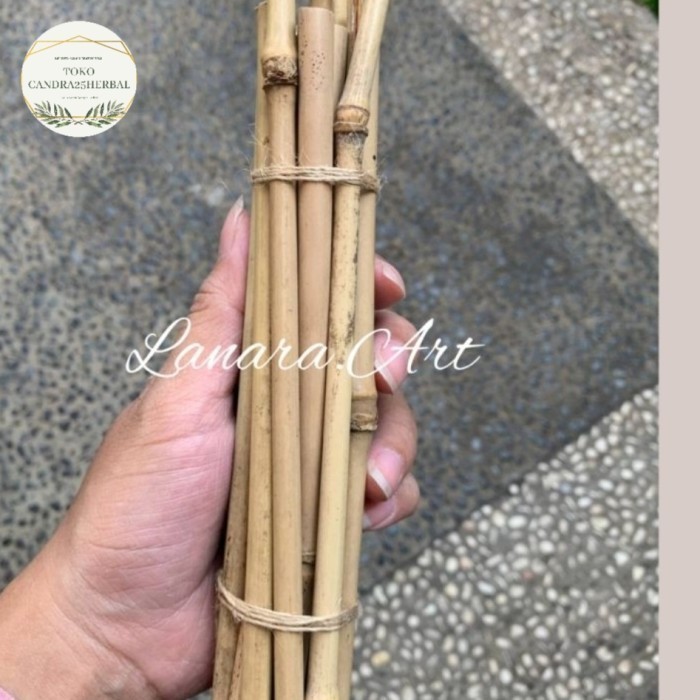 Jual Ranting bambu kering kecil panjang 30 cm isi 10 pcs | Shopee Indonesia