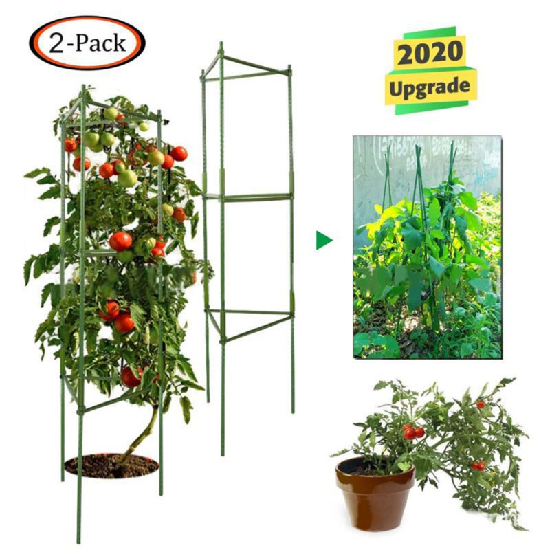 Jual Garden Vegetable Stakes Plant Cages To Support Plant Growth Anti ...