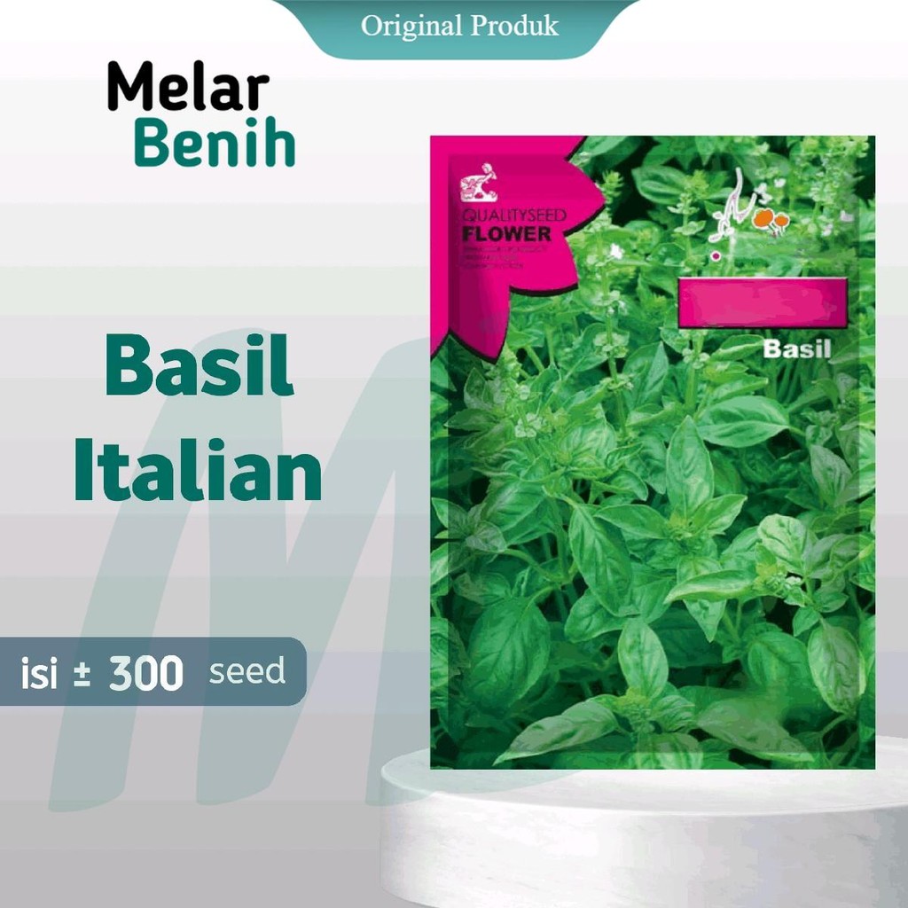 Jual 0J BENIH BASIL ITALIAN UNGGUL ISI 300 seeds - KEMASAN ORIGINAL ...