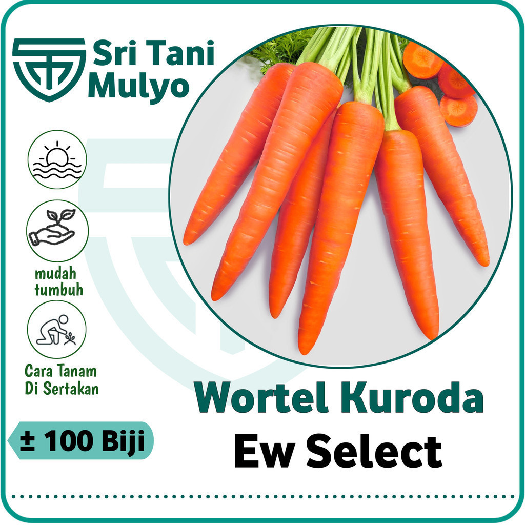 Jual 100 Biji - Benih Wortel SUPER KURODA EW SELECT Cap Panah Merah ...