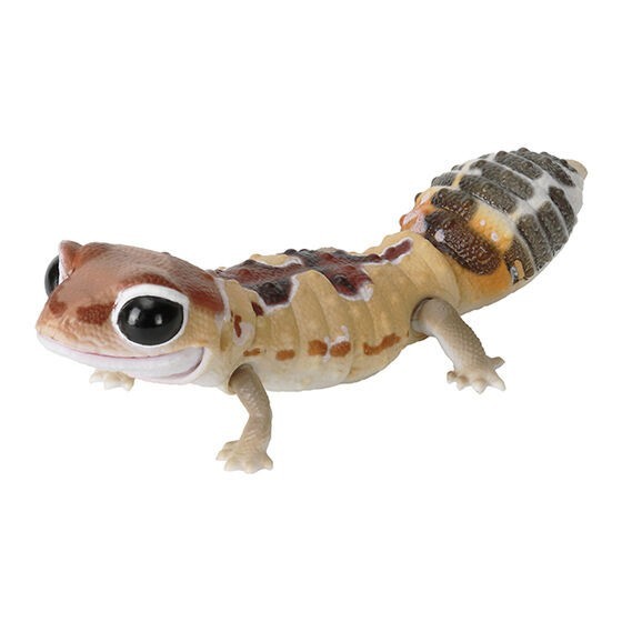 Jual Bandai ikimono Repti Western African lizard gecko figure kadal ...