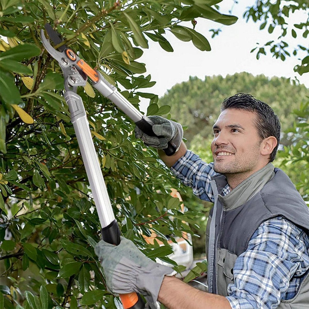 Jual SHIIE Gunting Panjang Potong Dahan Ranting Tinggi Shear 67Cm ...