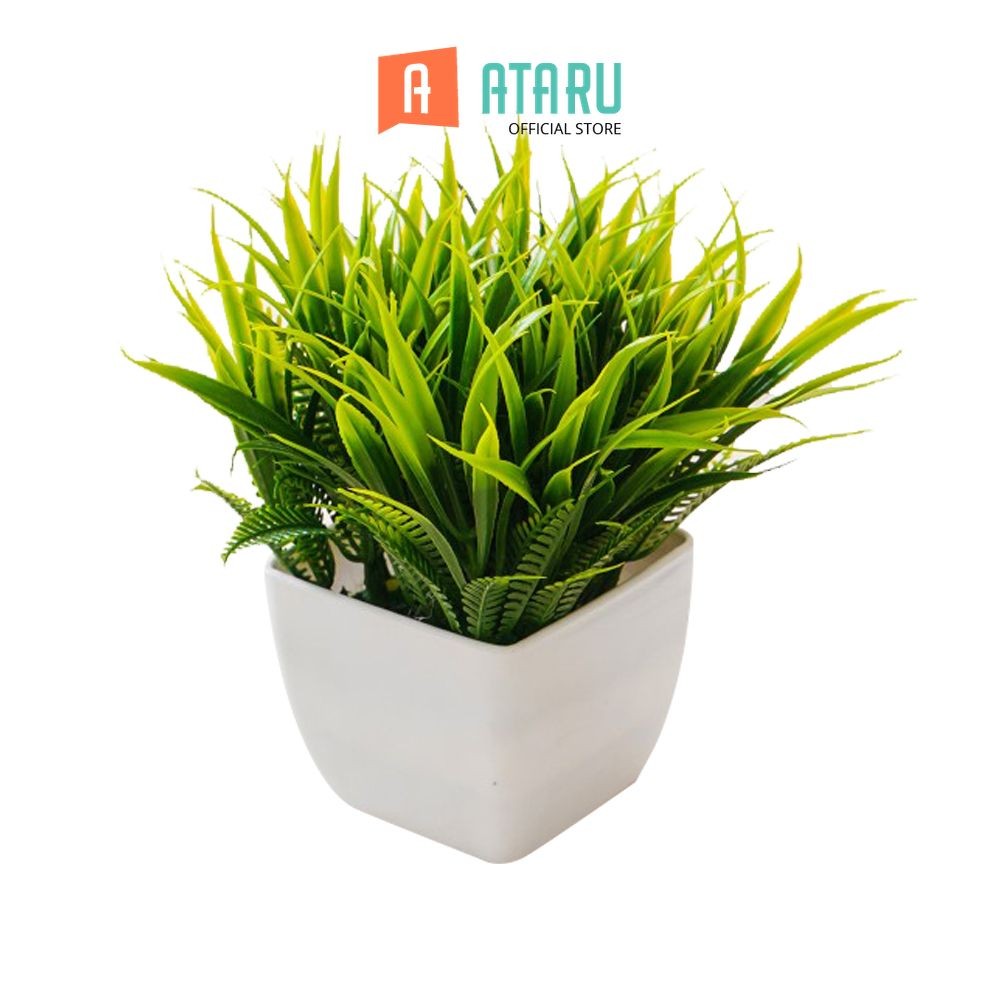 Jual Ataru Ukuran M Tanaman Artifisial Pot Grass Square - Putih ...