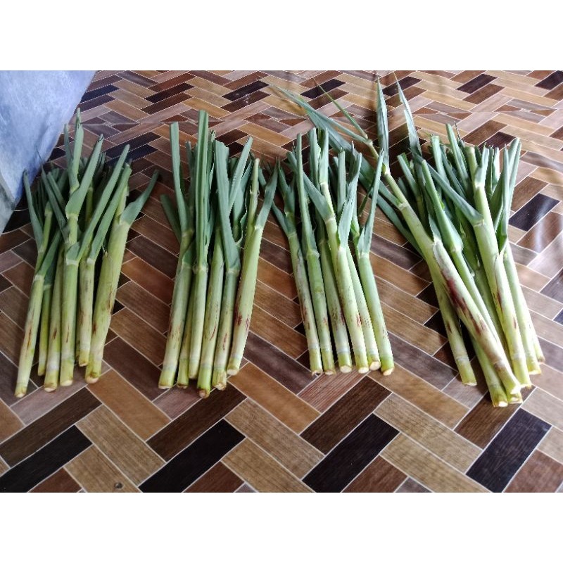 Jual Tebu Telur/ Terubuk Makanan Khas Sunda 1kg | Shopee Indonesia