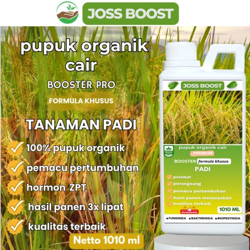 Jual Pupuk Organik Cair Booster PADI , POC JOSSBOOST Padi, poc kompos organik Melebatkan Secara ...