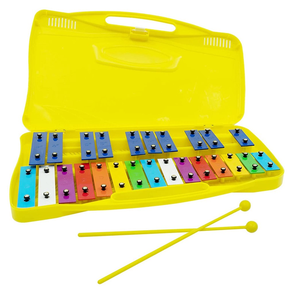 Jual 25 Note Xylophone with Case Colorful Musical Toy Perfectly Tuned ...