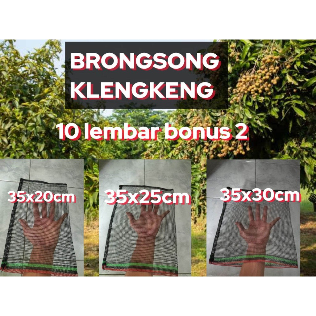 Jual Brongsong kelengkeng size 35x30cm 10 lembar bonus 2 | Shopee Indonesia