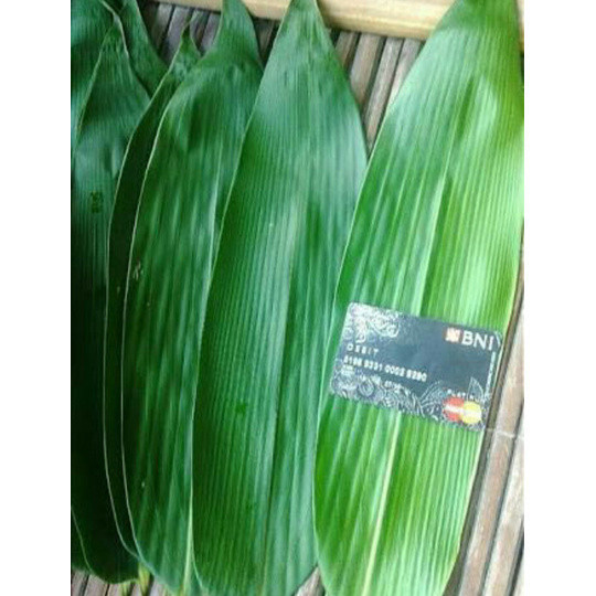 Jual Daun Bambu segar Untuk Bungkus Bakcang 150 gram | Shopee Indonesia