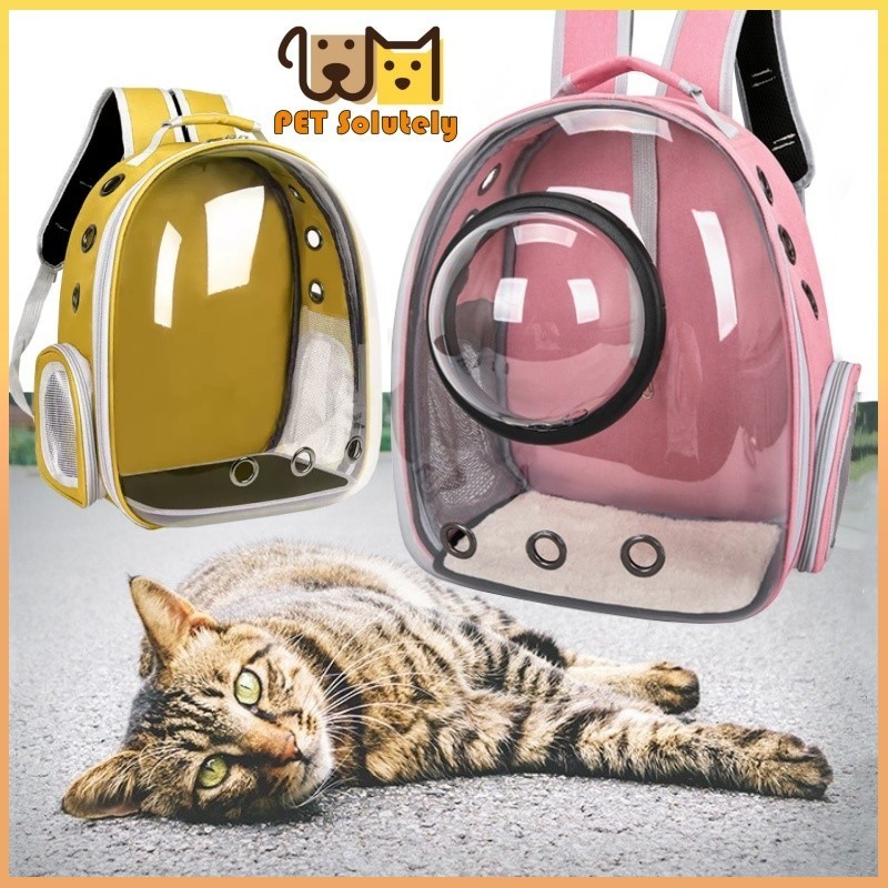 Jual Tas Kucing Jumbo Peliharaan Transparan, Tas Transportasi Kucing ...
