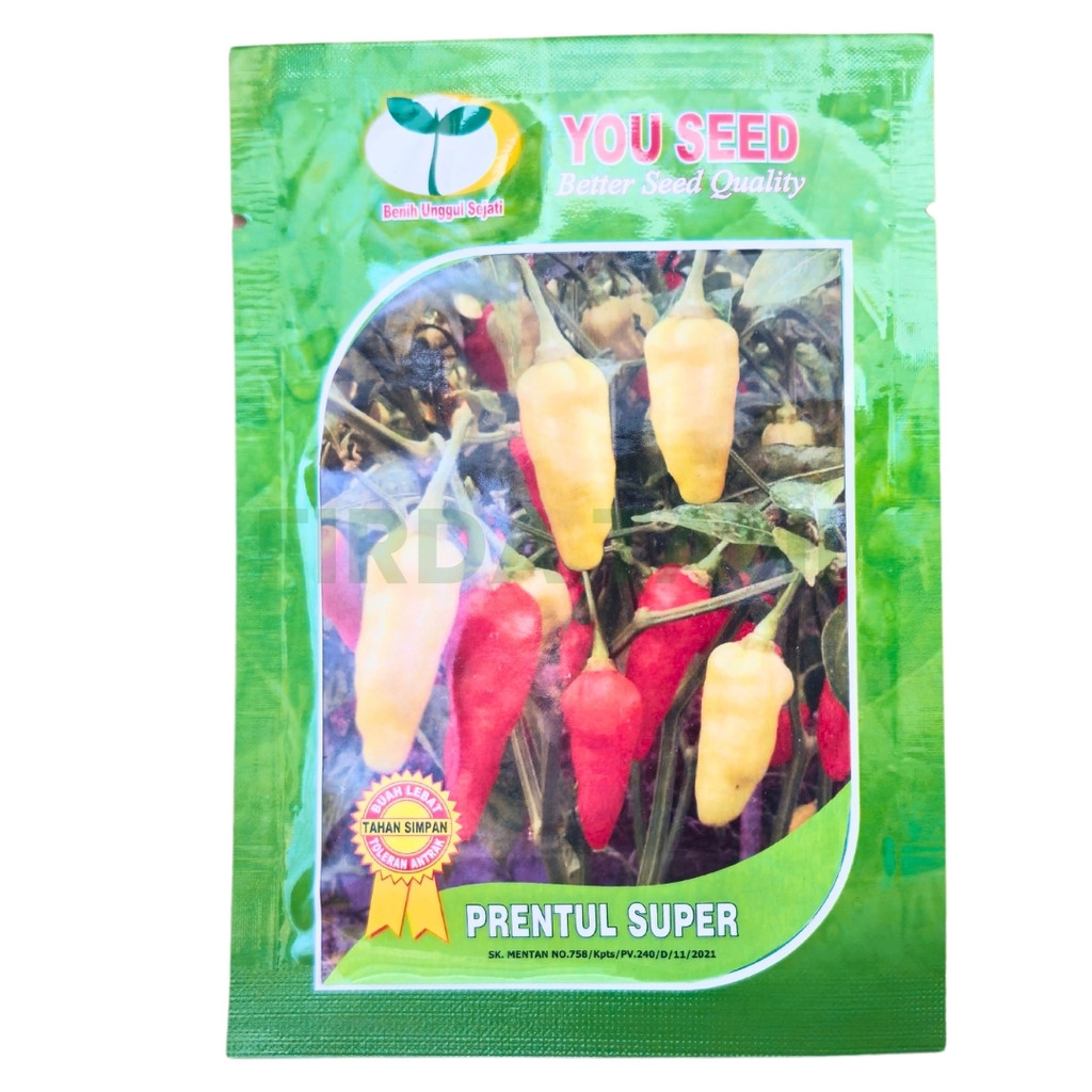 Jual Cabe Prentul Super 10gr Original Pabrik | Shopee Indonesia