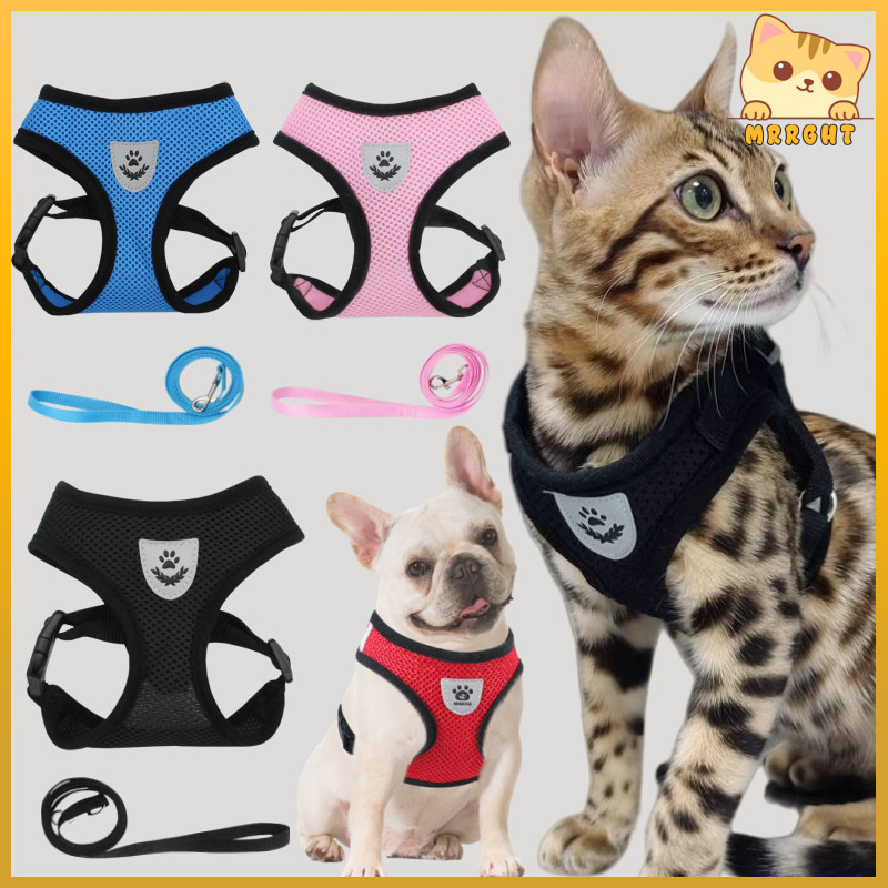 Jual Harness dada kucing dan Tali Hewan Peliharaan Bernapas Aksesoris ...
