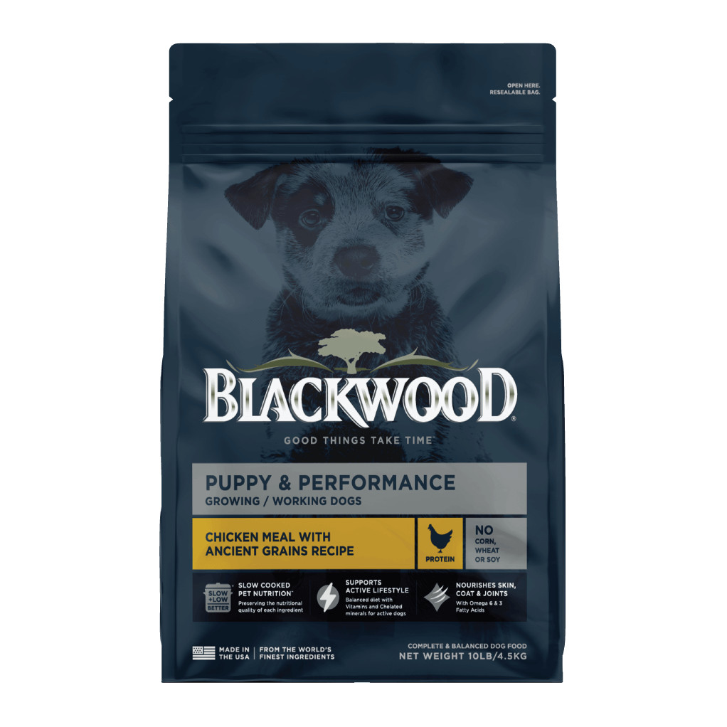 Jual BLACKWOOD Zinpro Puppy Performance Chicken Ancient Grain Recipe 2. ...