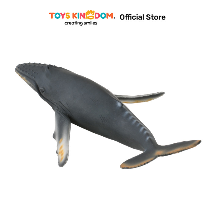 Jual Toys Kingdom Collecta Figure Humpback Whale 88347 Toys Kids Toy ...