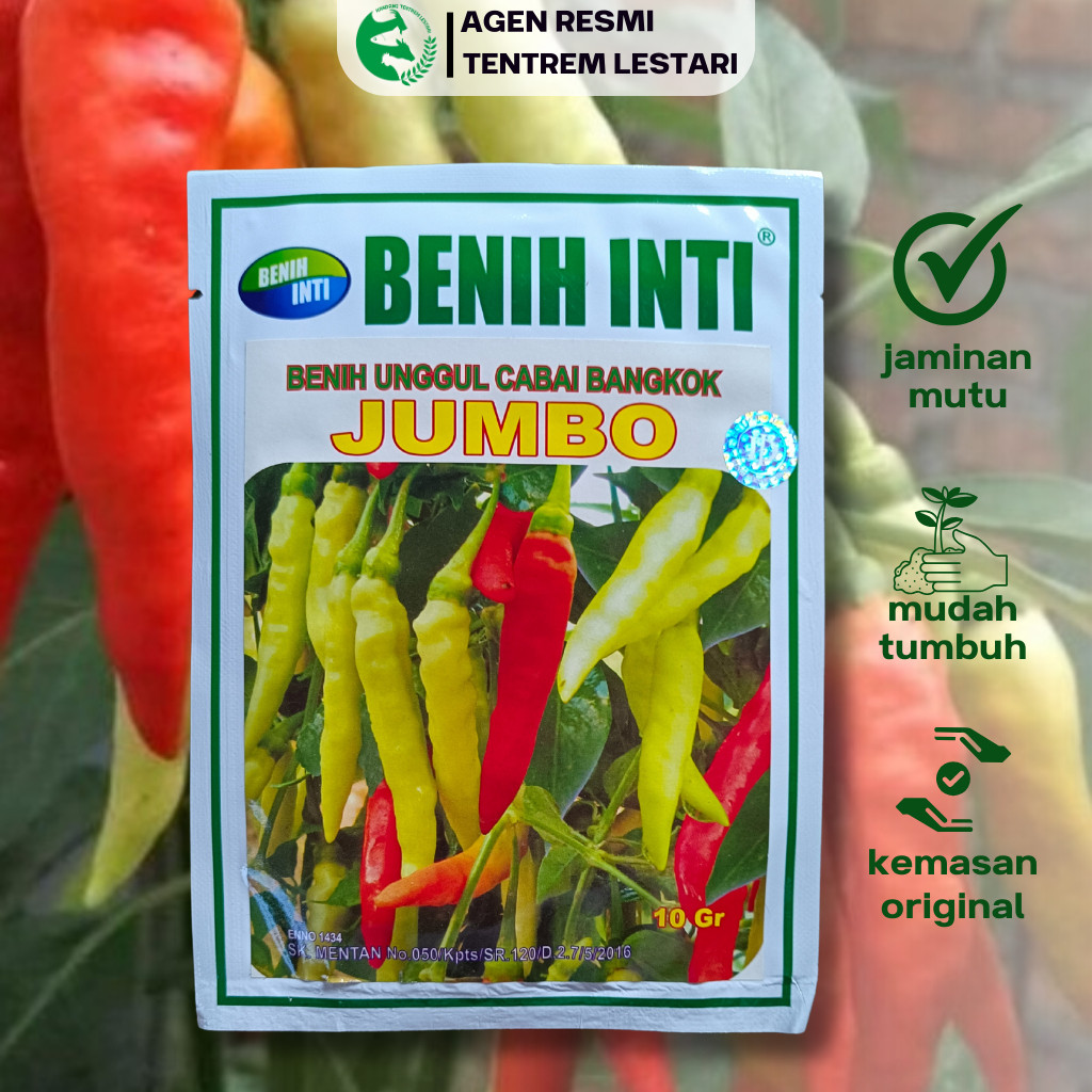 Jual Benih Cabe Rawit Bangkok JUMBO 10 gram Asli Cap Benih Inti #Shopee ...