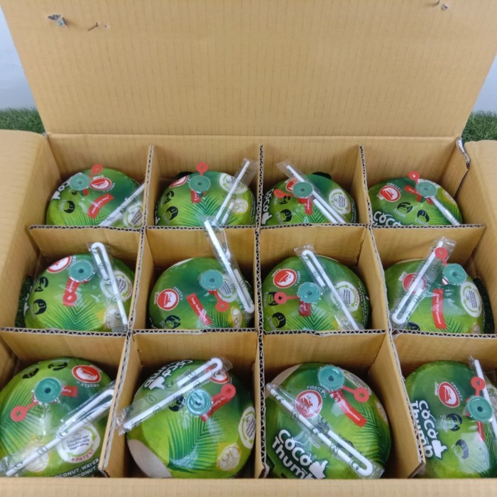 Jual kelapa coco thumb thailand ISi 4pcs 6pcs dan 12pcs per box ...