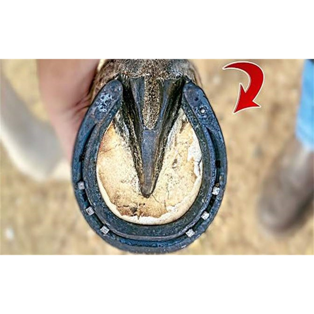 Jual Sepatu kuda, Tapal kuda, Tapel Jaran, Ladam Lebar 10cm | Shopee ...