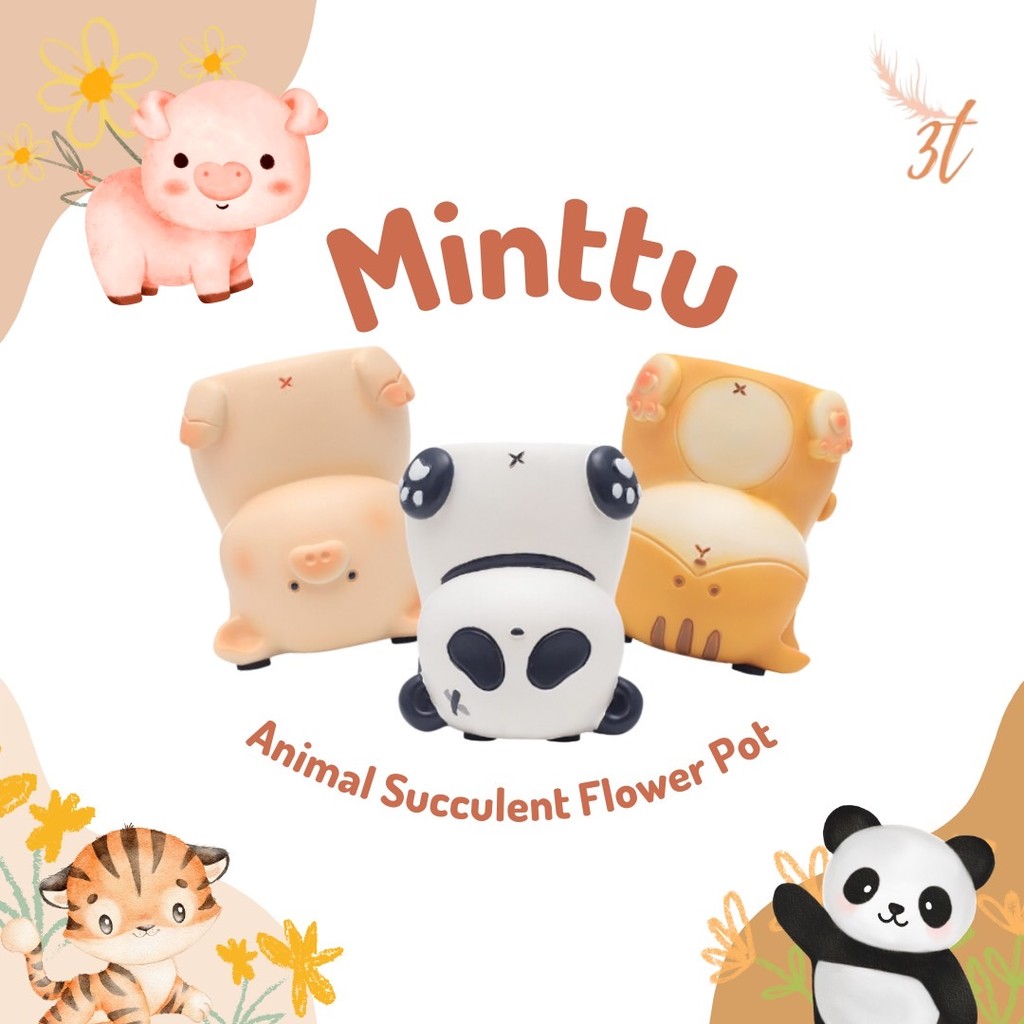 Jual Minttu Succulent Pot / Vas | Shopee Indonesia