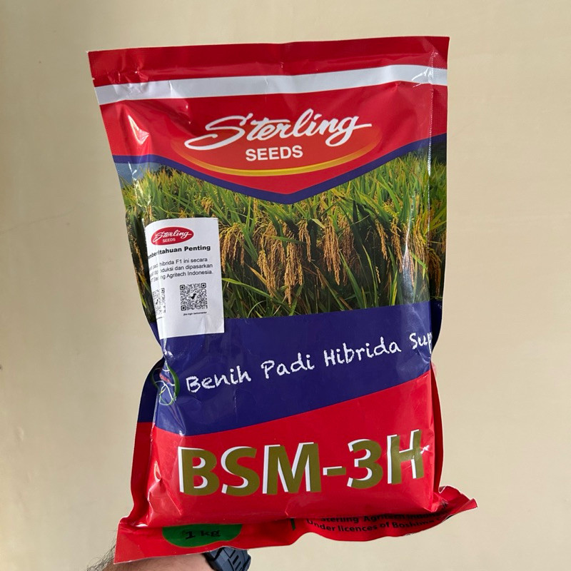 Jual Benih padi hibrida F1 Sterling BSM-3H 1Kg | Shopee Indonesia