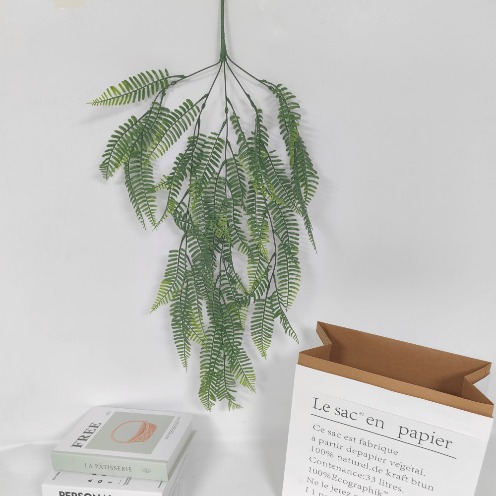 Jual Tanaman Rambat Pakis Rotan Persia Palsu Daun Boston Hias Merambat ...