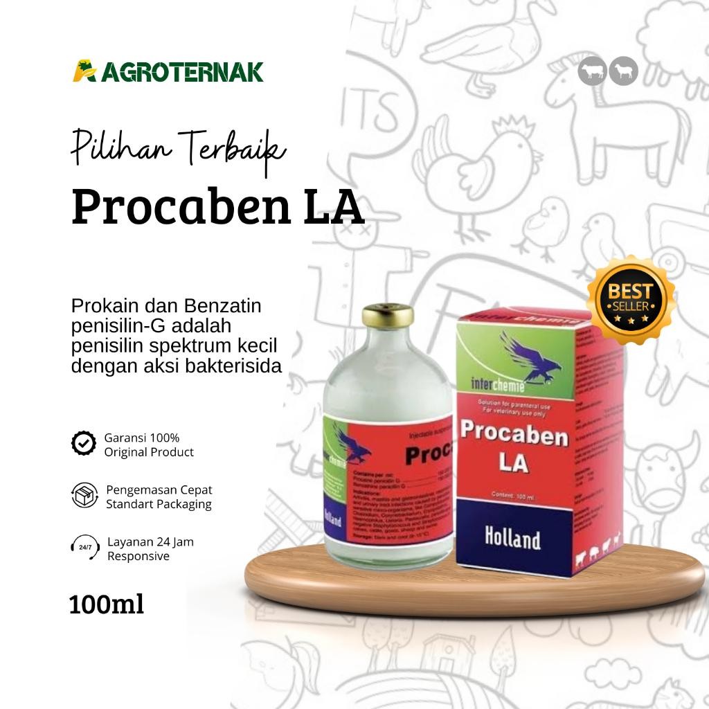 Jual PROCABEN LA Penstrep-400 Original Antibiotik Injeksi Pernafasan ...