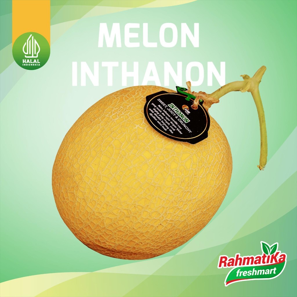 Jual Melon Inthanon 1 Buah | Shopee Indonesia