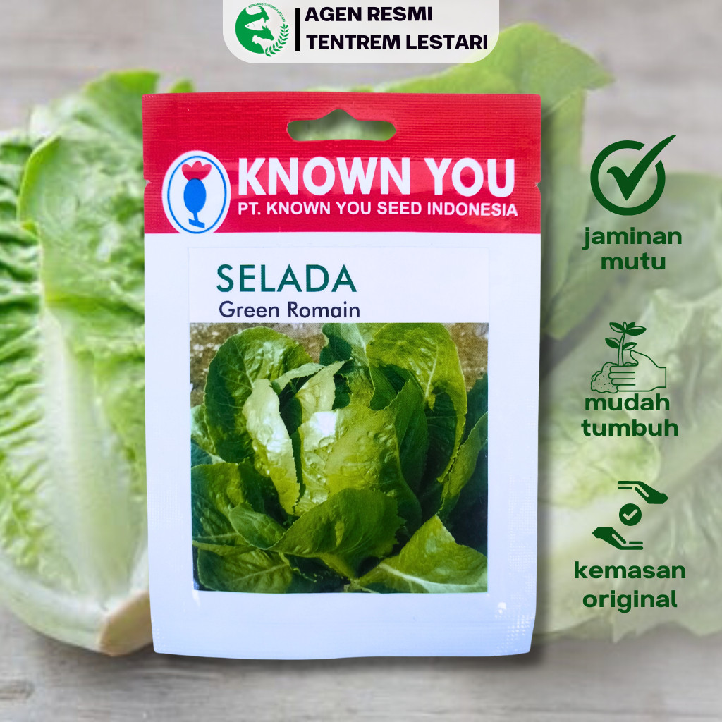 Jual Benih Selada GREEN ROMAIN 5 gr Known You Seed #Shopee KTL | Shopee Indonesia