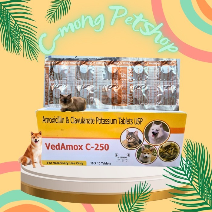 Jual VedAmox C-250 Chewable Tablet Kunyah (1 BOX = 100 Tablet) Infeksi ...