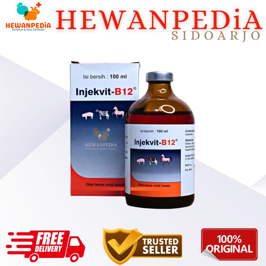 Jual INJEKVIT B12 100 ml MEDION Hewanpedia - Obat B 12 Untuk Perbaiki ...