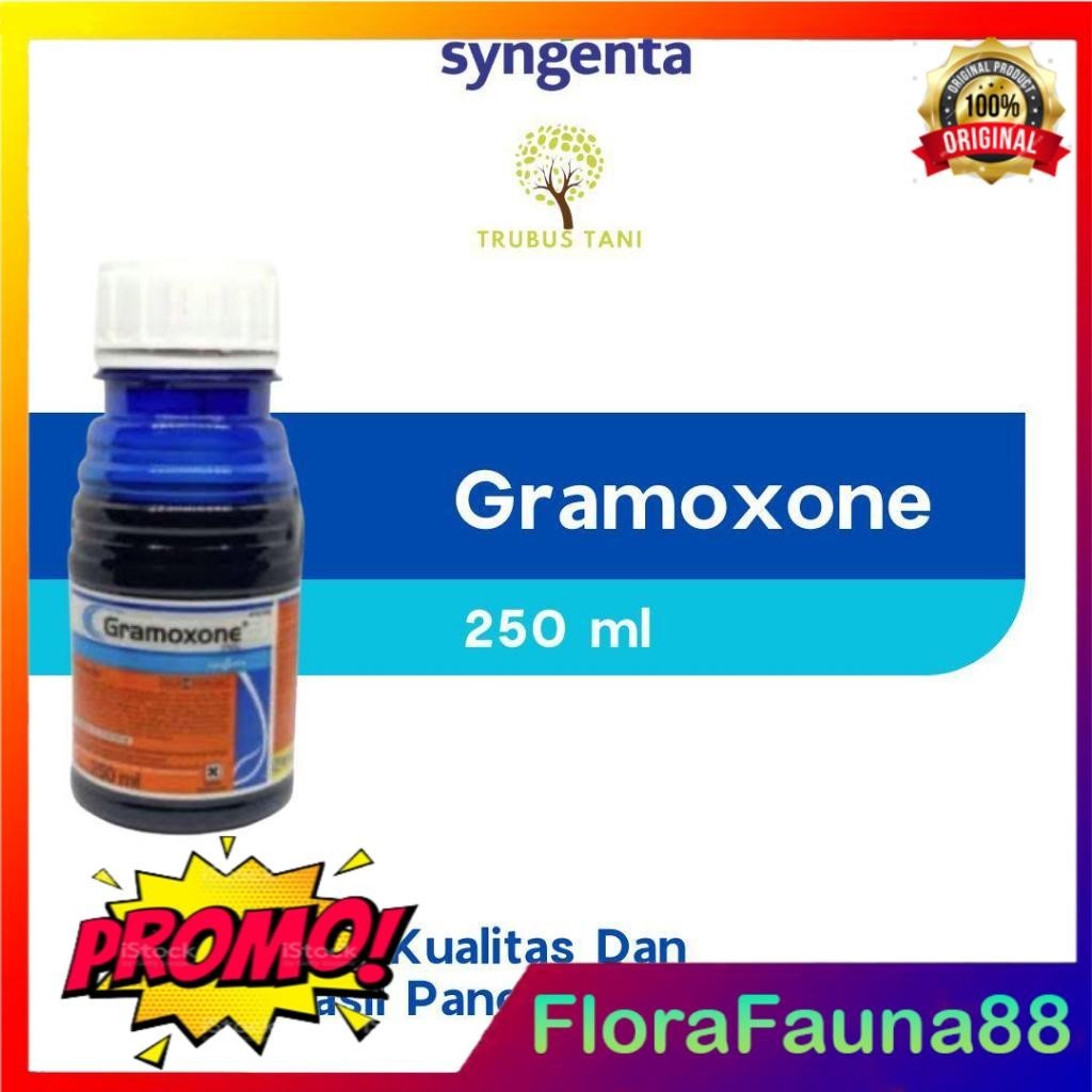 Jual Gramoxone 250ml herbisida cair hijau tua Gramoson Gromoson 250 ml ...