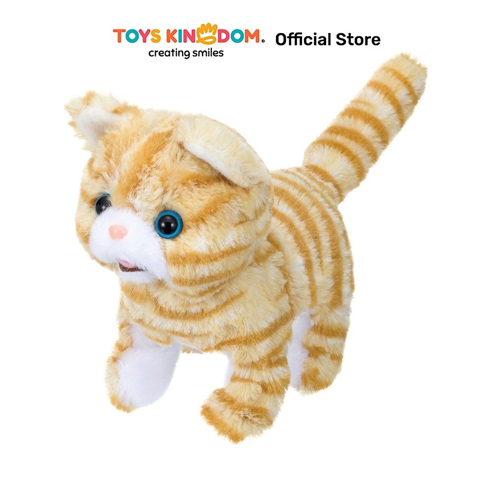 Jual Toys Kingdom Iwaya Boneka Plush Baby Scottish Fold 3127-1 Toys ...