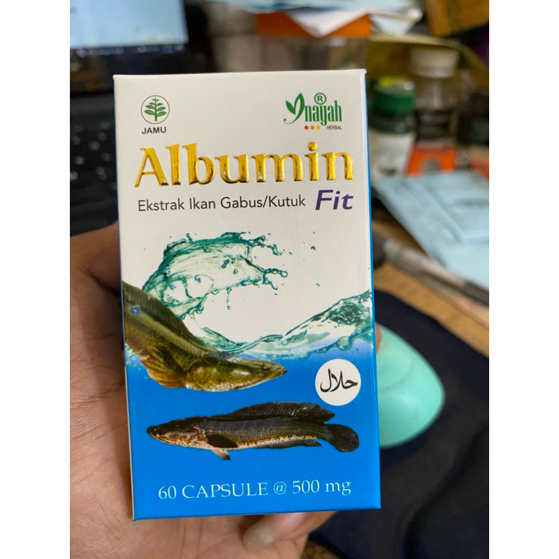 Jual BEST PROMO!!! albumin fit extra ikan gabus inayah | Shopee Indonesia