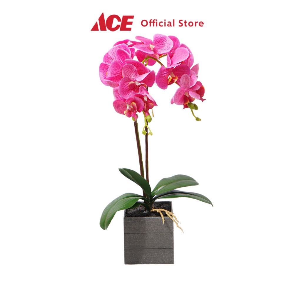 Jual Arthome Bunga Artifisial Orchid 2 Stem Dengan Pot - Pink Fuschia ...