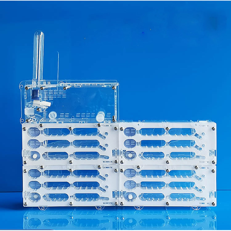 Jual Ant formicarium with feeding area Unlimited Expansion Acrylic ant ...