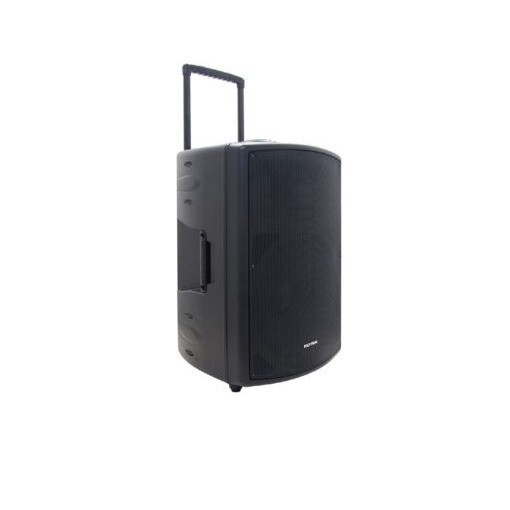 Jual SPEAKER PORTABLE POLYTRON BLUETOOTH 15 INCH - PAS PRO 15 F3 ...