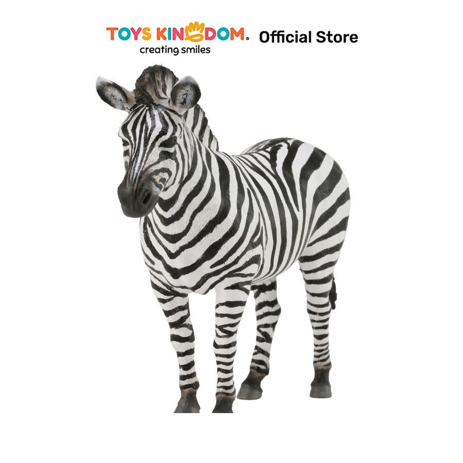 Jual Toys Kingdom Collecta Figure Co Mmon Zebra 88830 Toys Kids Toy ...