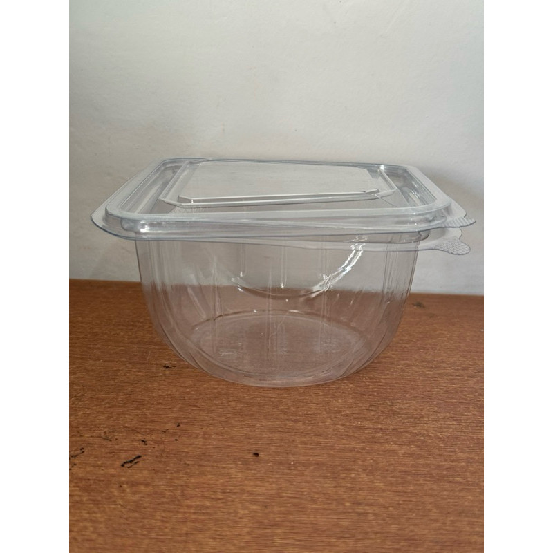 Jual CPS2 - Mika MB 100 Mika Salad Puding Buah Mika Nasi Box uk.500ml ...