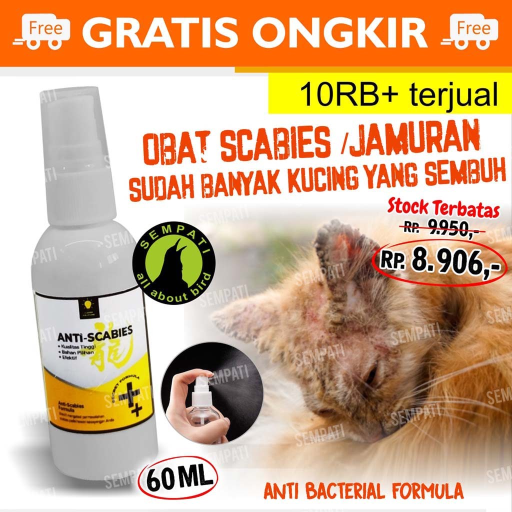 Jual SEMPATI Obat Jamur Kucing Anti Scabies Obat Kulit Spray Obat ...