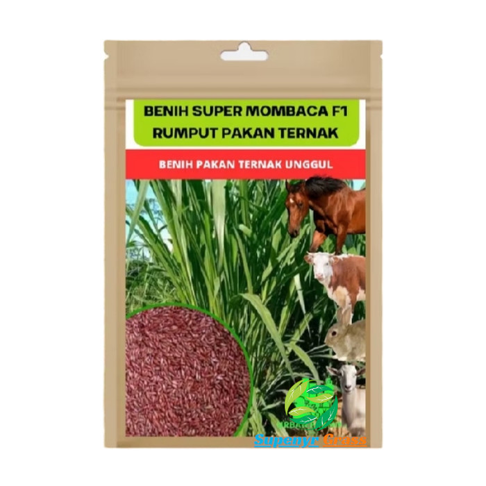 Jual Benih Rumput Mombaca F1 Ghine Kemasan 1000 Biji Urban Farming ...