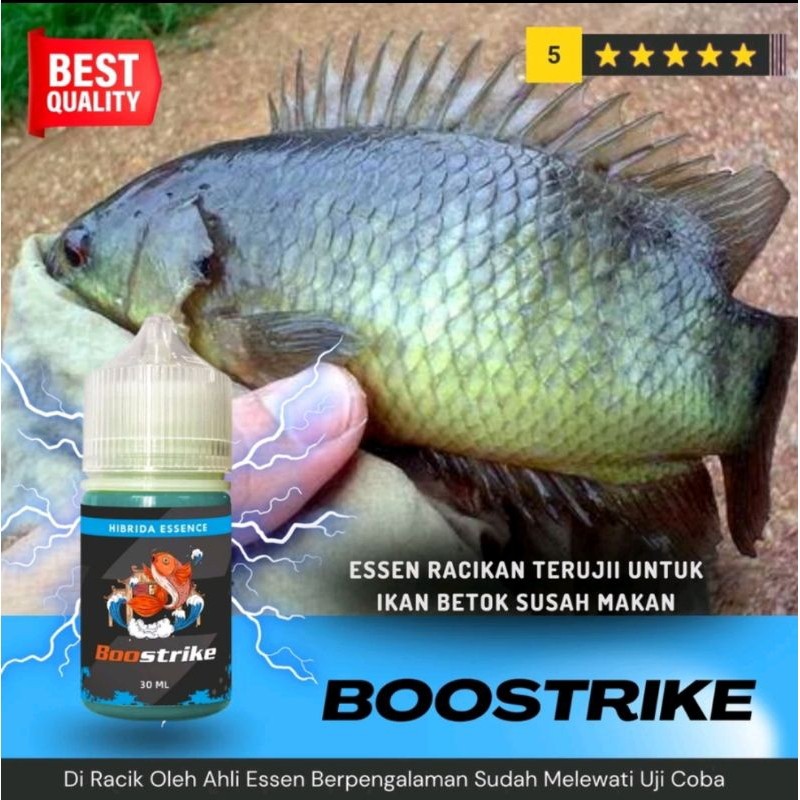 Jual ESSEN perangsang ikan betok siap pakai | Shopee Indonesia