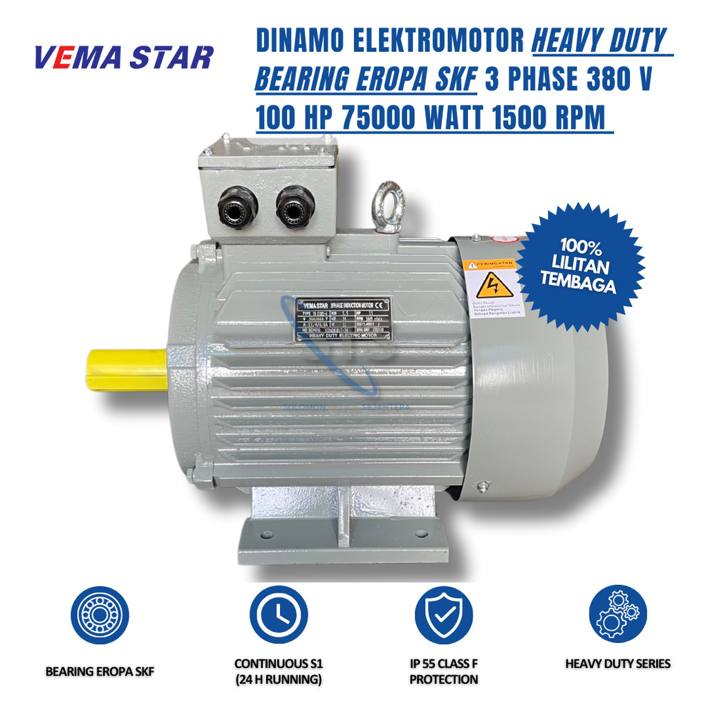 Jual STS | BEARING SKF VEMA STAR Dinamo 3 Phase 380v HEAVY DUTY 100 HP ...