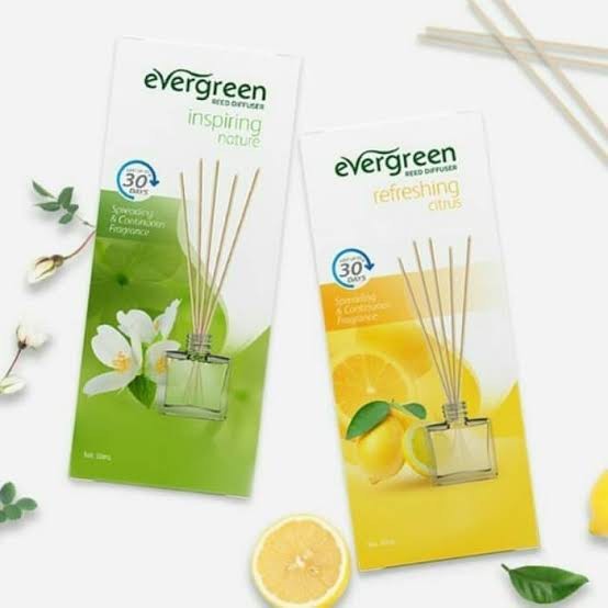 Jual Pengharum Ruangan Evergreen/Evergreen Reed Diffuser 30ml + Refill | Shopee Indonesia